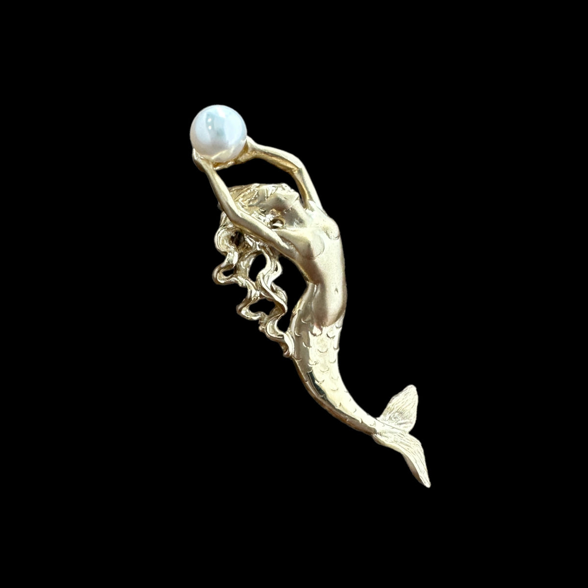 Steven Douglas Collection – MFST